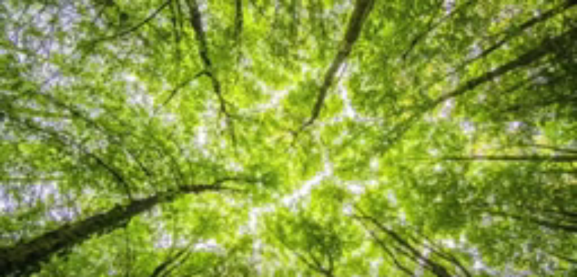 Ambrose A. Worrall Lecture 3 of 4 — Alpha and Omega – The AUM Esoteric ...